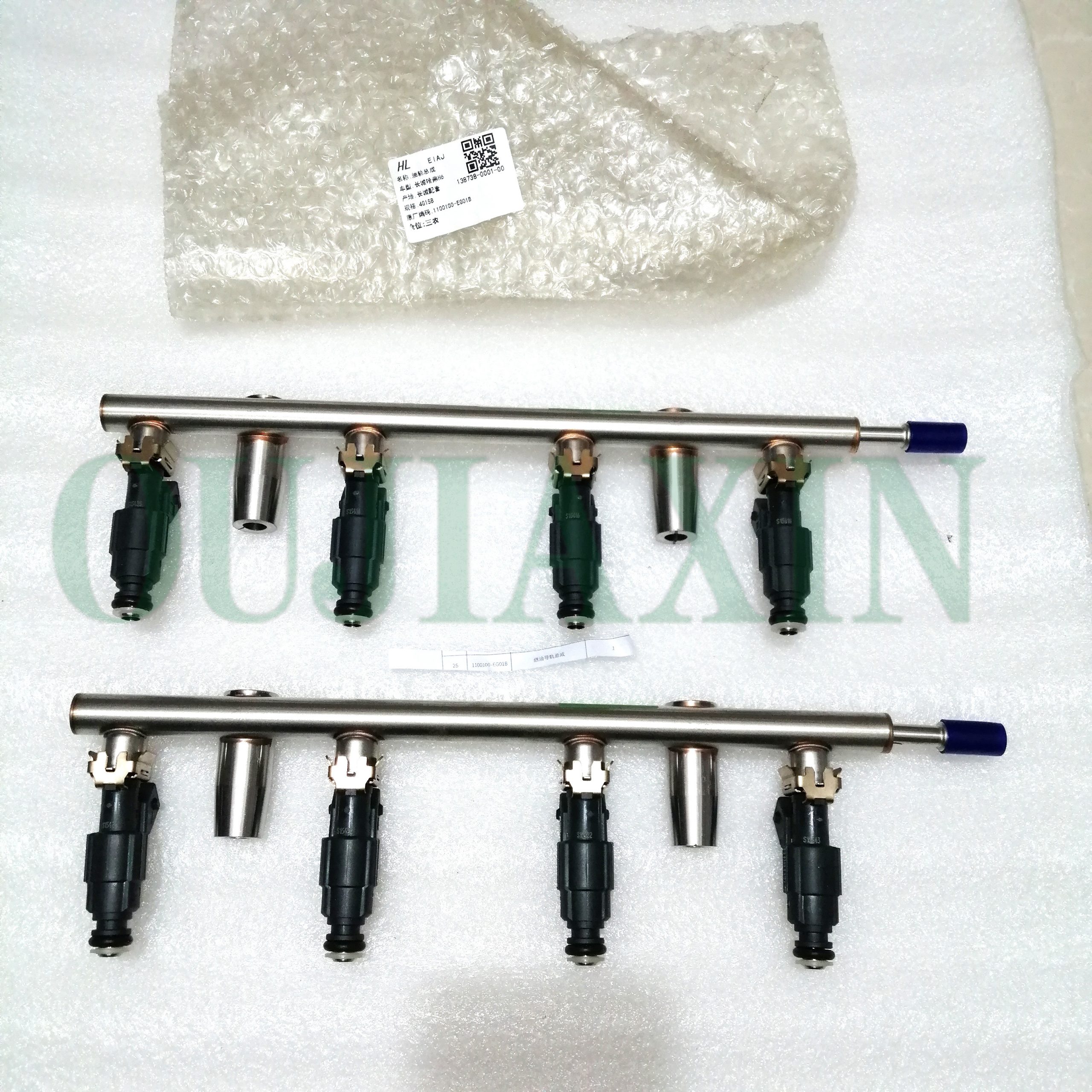 Fuel rail assembly 1100100-EG01 for Great Wall Haval H6