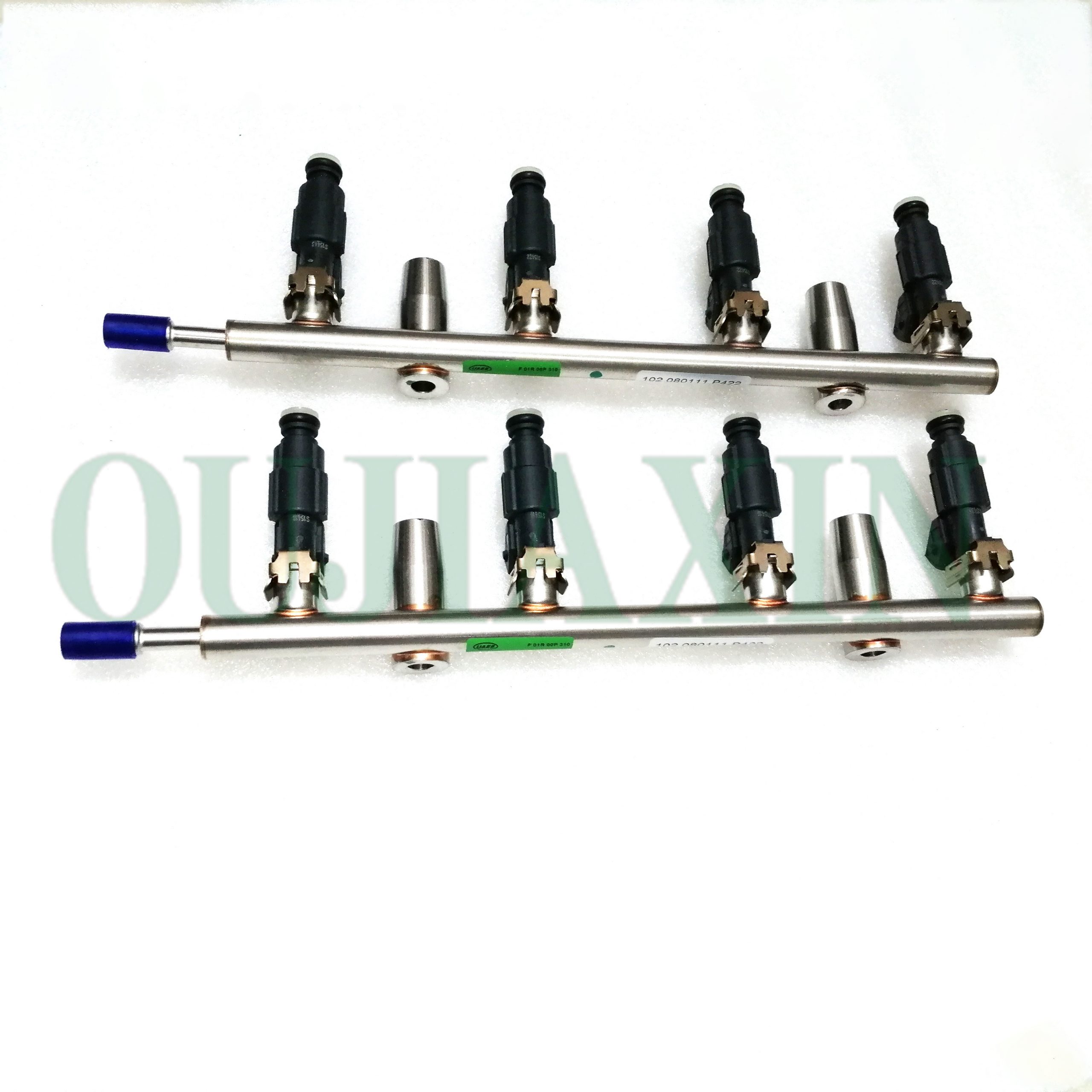 Fuel rail assembly 1100100-EG01 for Great Wall Haval H6